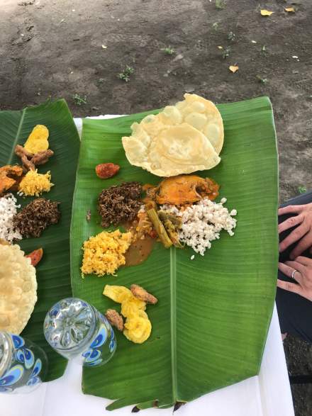 READY FOR THE POKKALI RICE STORY? HERE IT IS: - Mantra Wild India ...